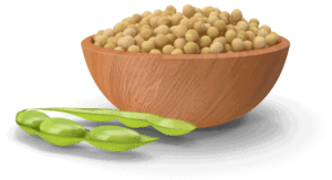 Azaki Tempe - When Healthy Meets Tasty