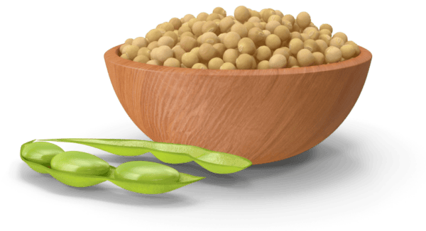 Azaki Tempe - When Healthy Meets Tasty
