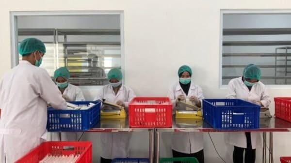 Azaki Tempe - When Healthy Meets Tasty